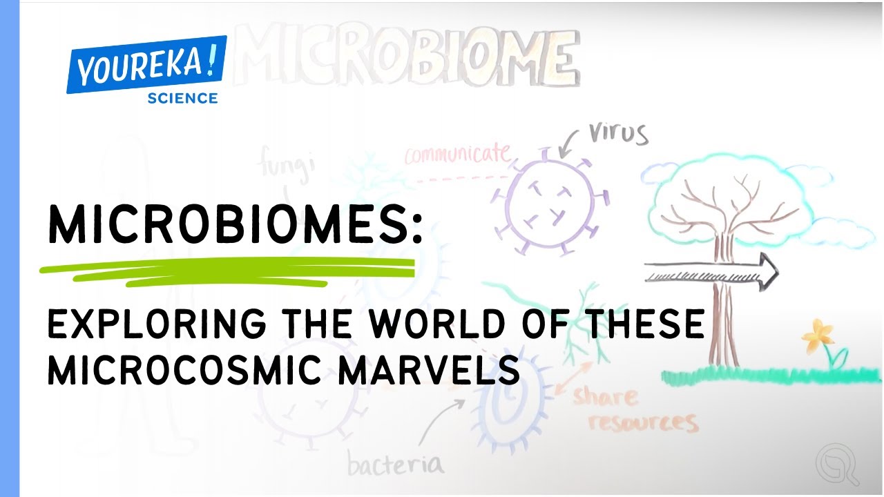 Microbiomes: Exploring the World of These Microcosmic Marvels - YouTube