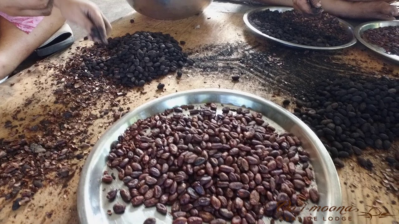 Koko Samoa at Va'i Moana - YouTube