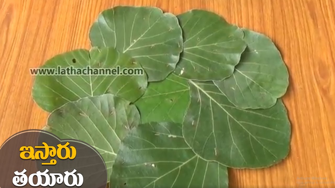 how to make natural leaf plates at home ఇంట్లోనే సహజంగా ఇస్తారు తయారు ...
