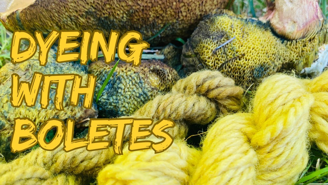 How to Dye with Botele Mushroom | Zeller’s Bolete | Xerocomellus ...