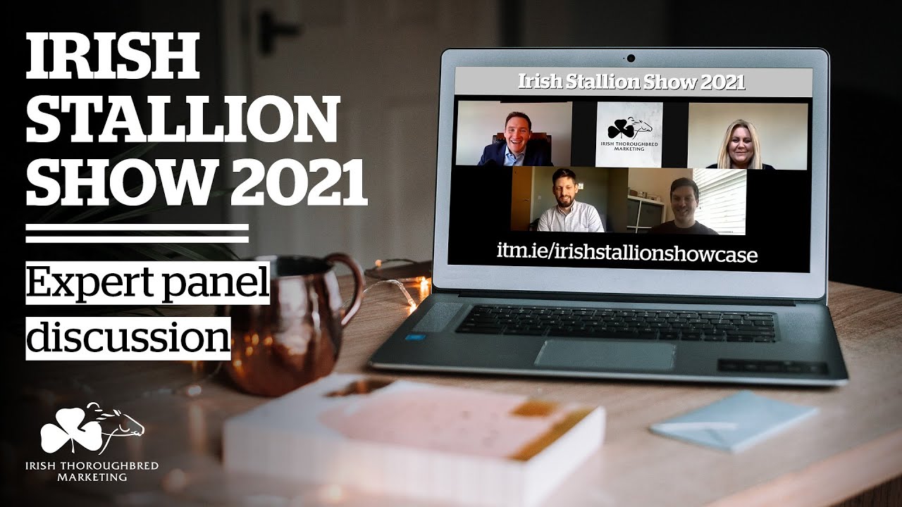 Irish Stallion Show 2021 - Panel Discussion on Irish Stallions - YouTube