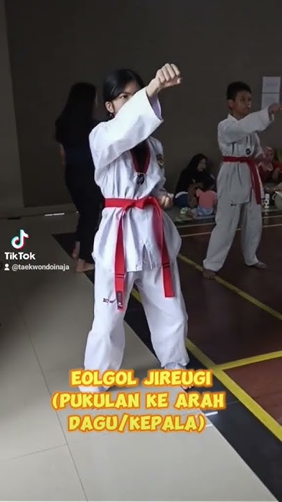 Pukulan Dasar Dalam Taekwondo (Jireugi) - YouTube