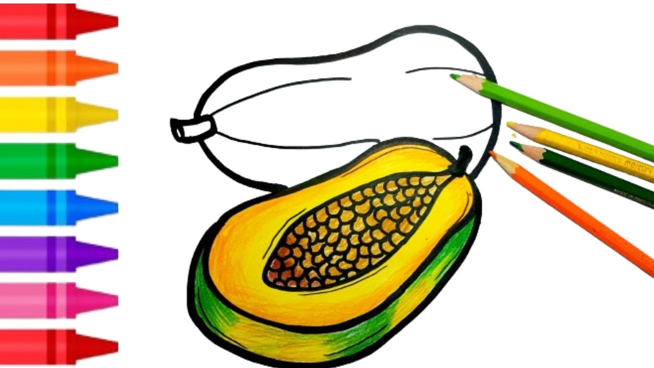 How to draw a Papaya || papaya drawing easy || how to draw a papaya ...
