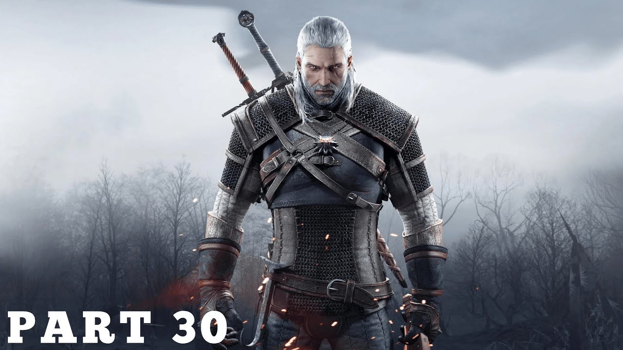 The Witcher 3: Wild Hunt No Commentary Walkthrough Gameplay Part 30 ...