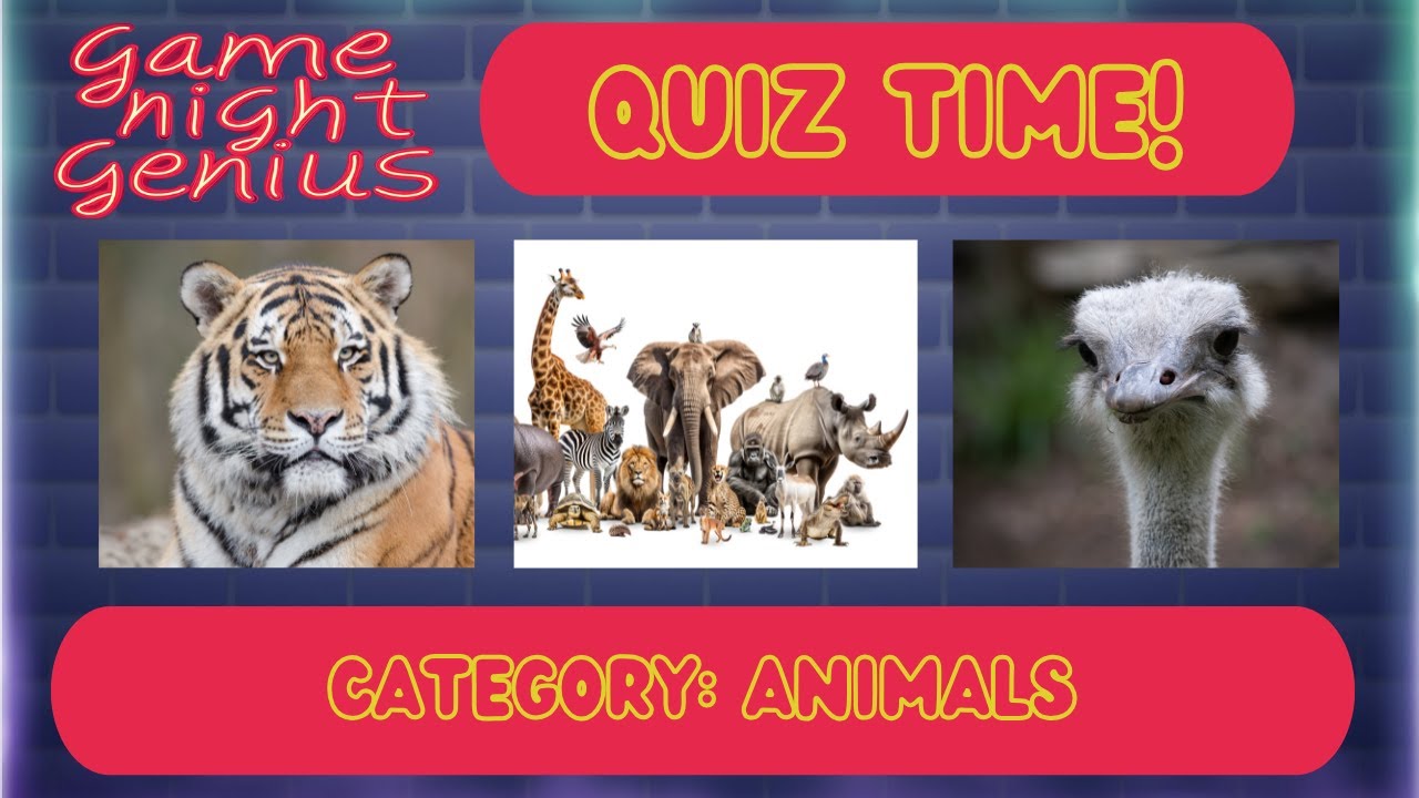 Game Night Genius Video Quiz-Animals - YouTube