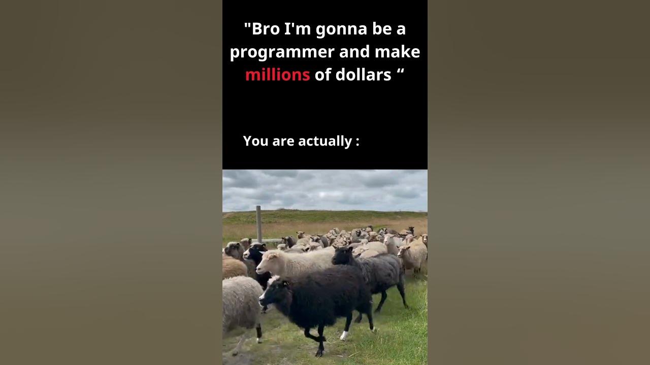 Bro, guess what? I'm about to become a programmer and make millions! 💻💰 ...
