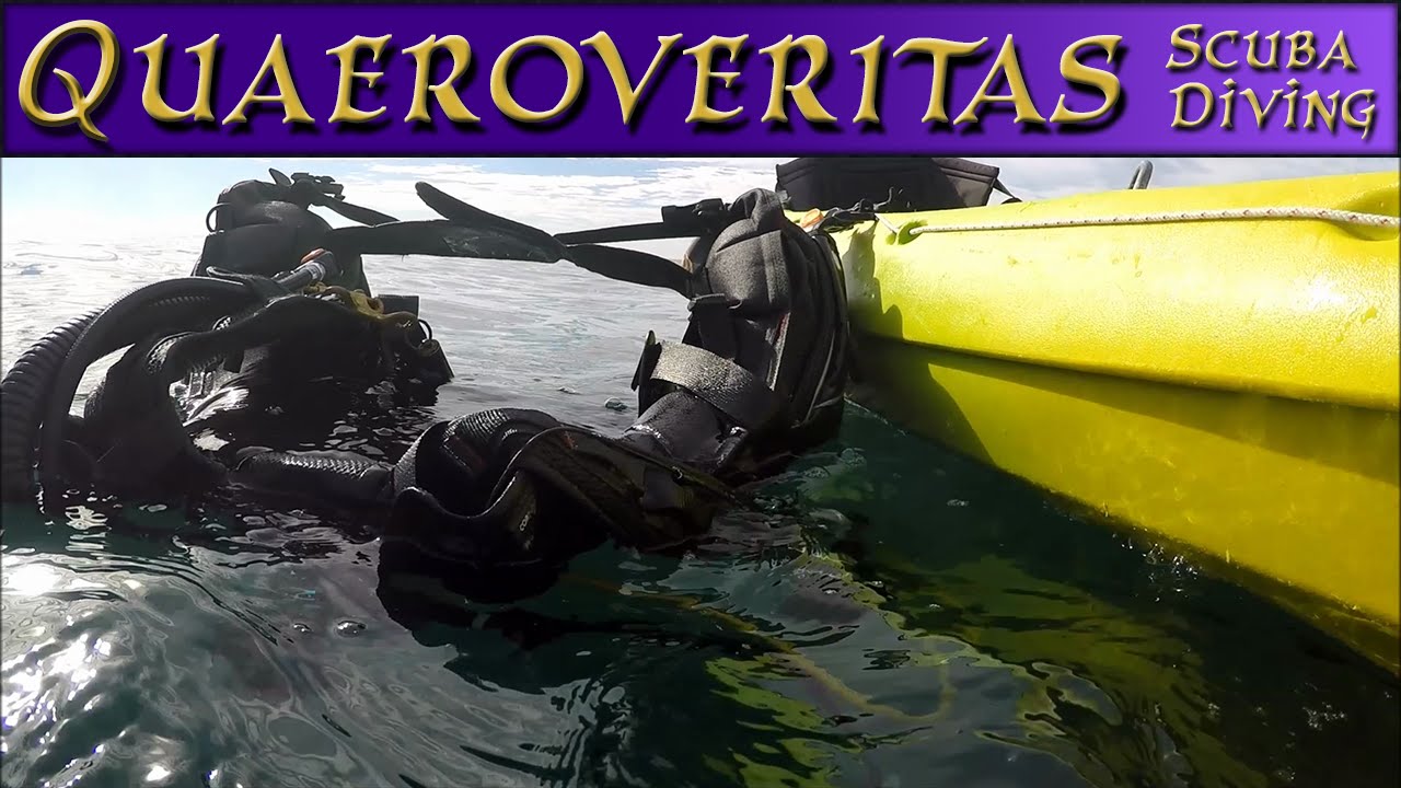 Scuba Diving With Q - The Kayak Dive That Was! #ScubaDive #ScubaDiving ...