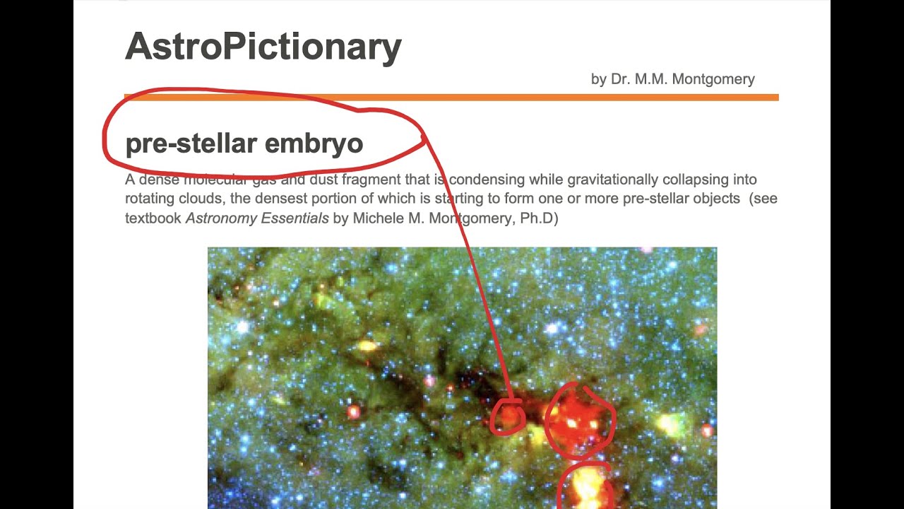 pre-stellar embryo - YouTube