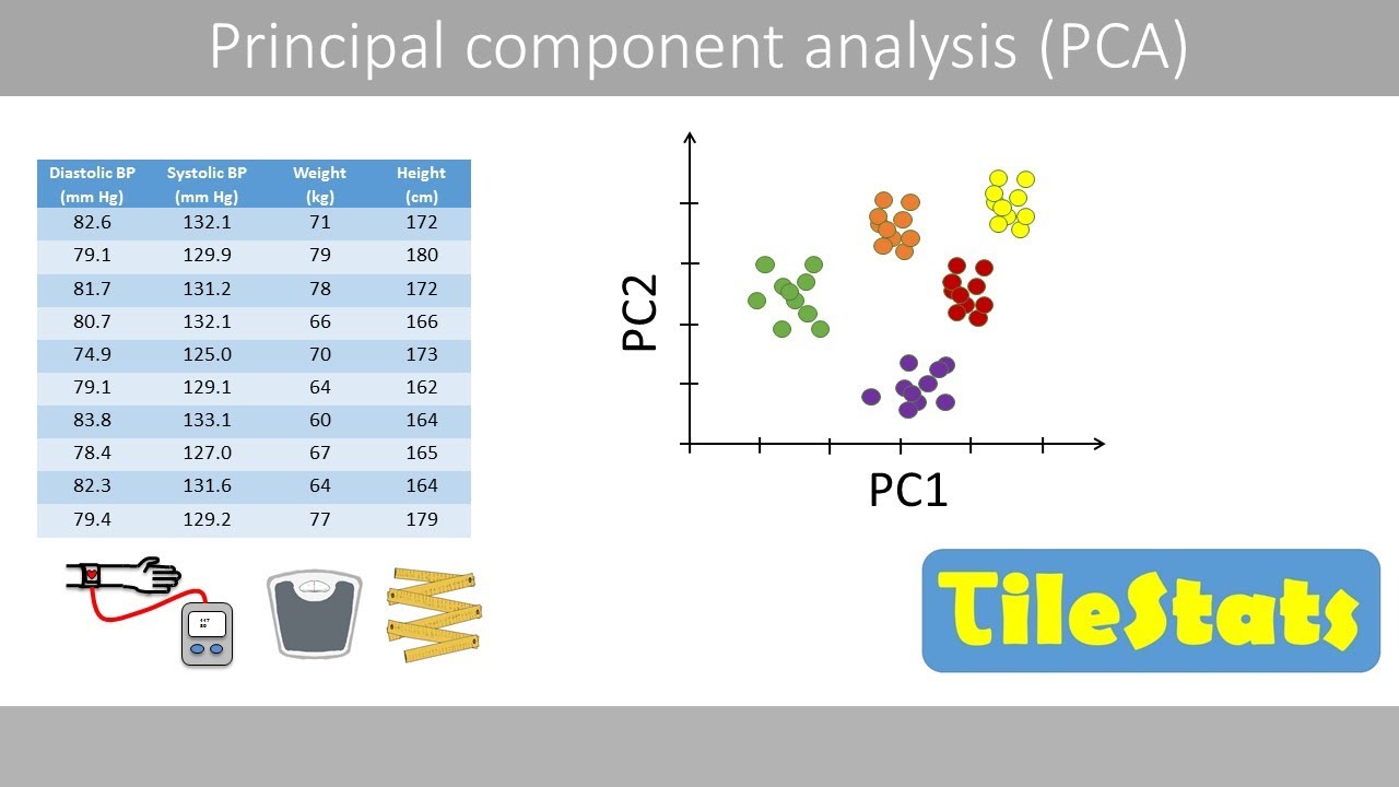 PCA How To Interpret The Weights loadings And Varimax Rotation YouTube PCA How To Interpret The Weights loadings And Varimax Rotation YouTube