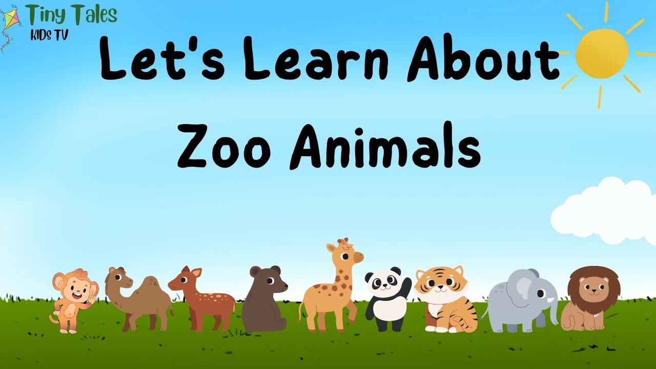 Meet Amazing Zoo Animals! Fun & Educational Animal video for Kids ...