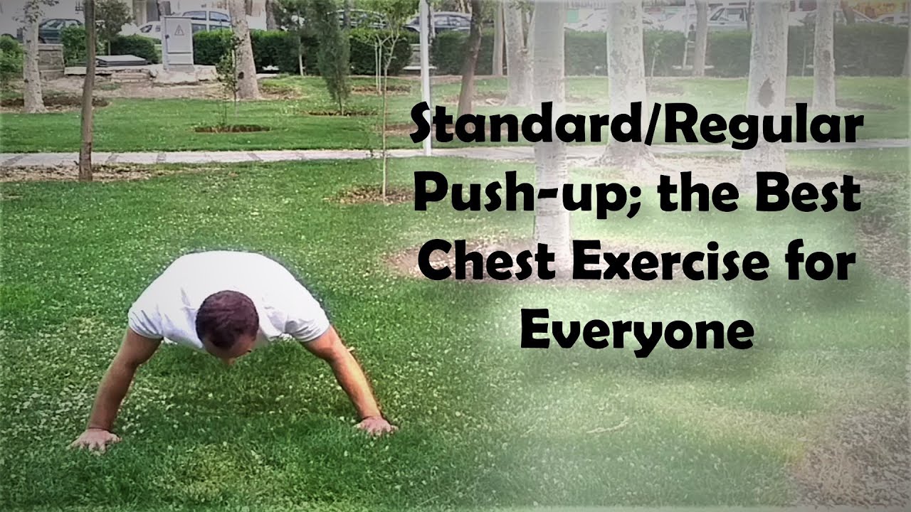 Standard/Regular Push-up; the Best Chest Exercise for Everyone - YouTube