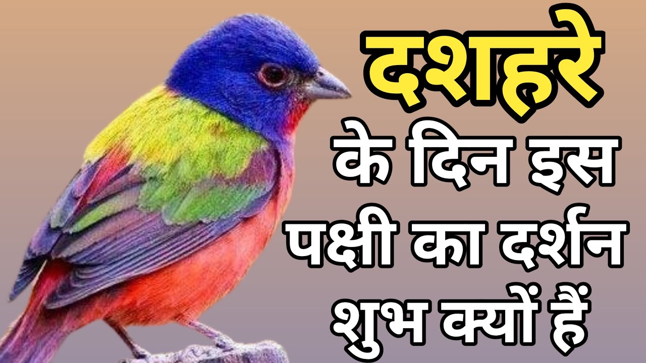 dussehra ke din neelkanth pakshi ko dekhna kyo shubh mana jata hai ...