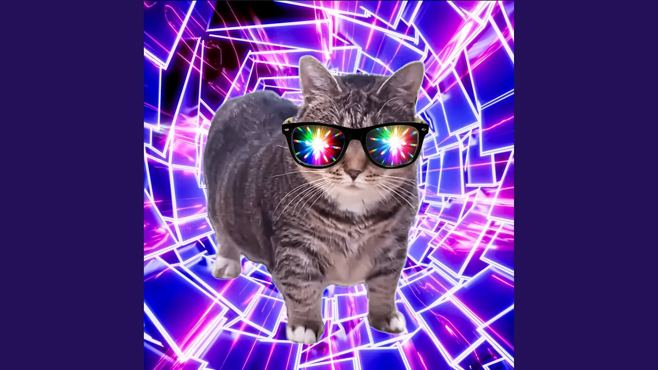 OIIA TECHNO CAT - YouTube