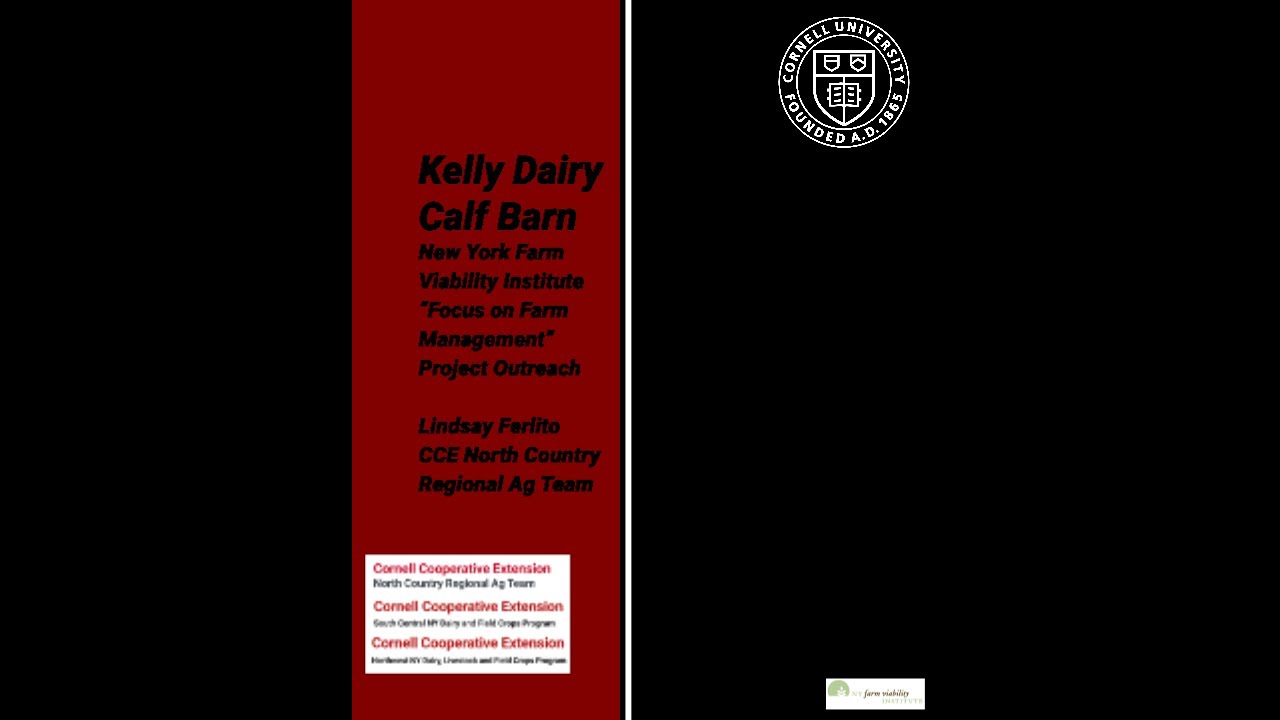 Kelly Dairy Calf Barn Tour - NYFVI "Focus on Farm Management Project ...