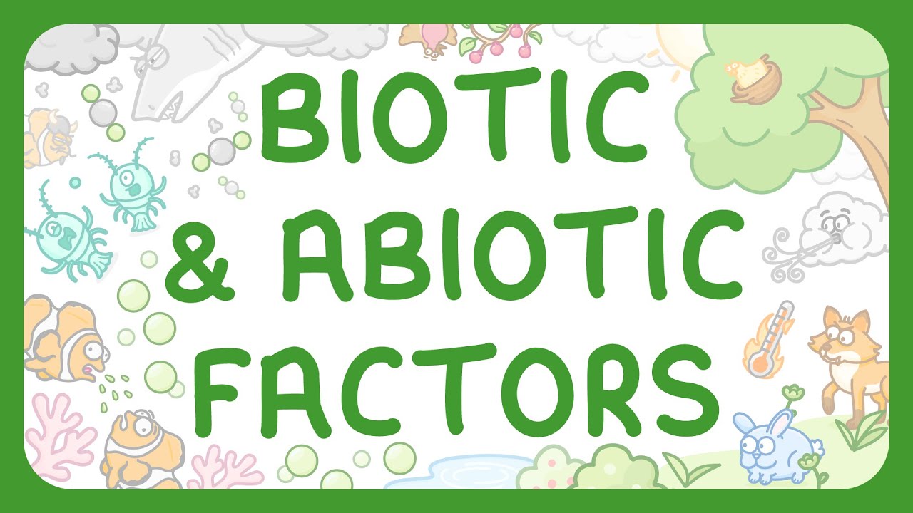 Biotic & Abiotic Factors (Middle School Science) - YouTube