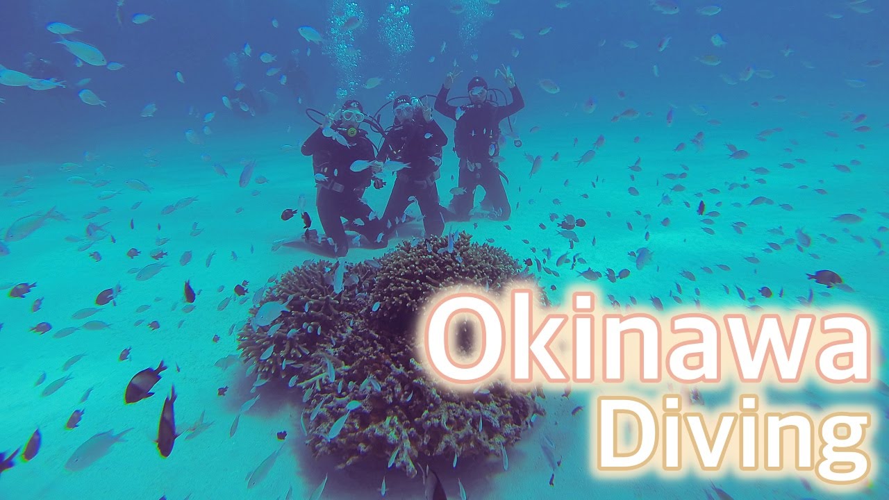 [4K] Okinawa Diving - SeaFriend, Tokashiki island (Gopro4, Inon UFL-G ...