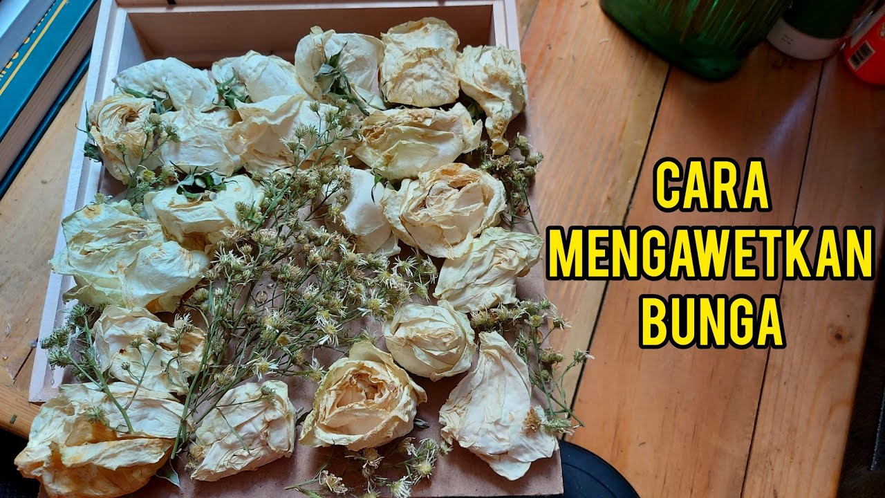 CARA MENGAWETKAN BUNGA MENGGUNAKAN SILICA GEL - YouTube