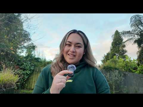 Awerangi Te Weri - Waka Whakarei Scholarship Video
