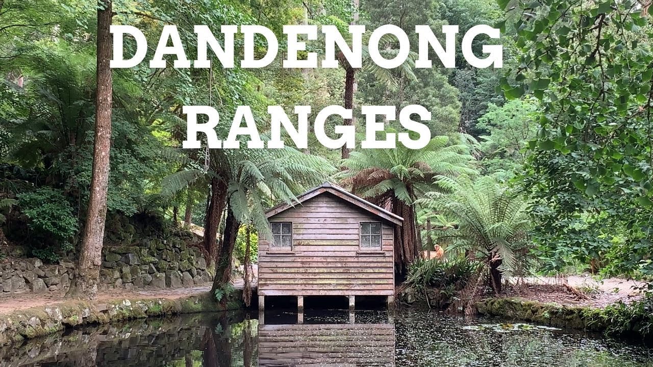 6 Best FREE things to do in the Dandenong Ranges - YouTube