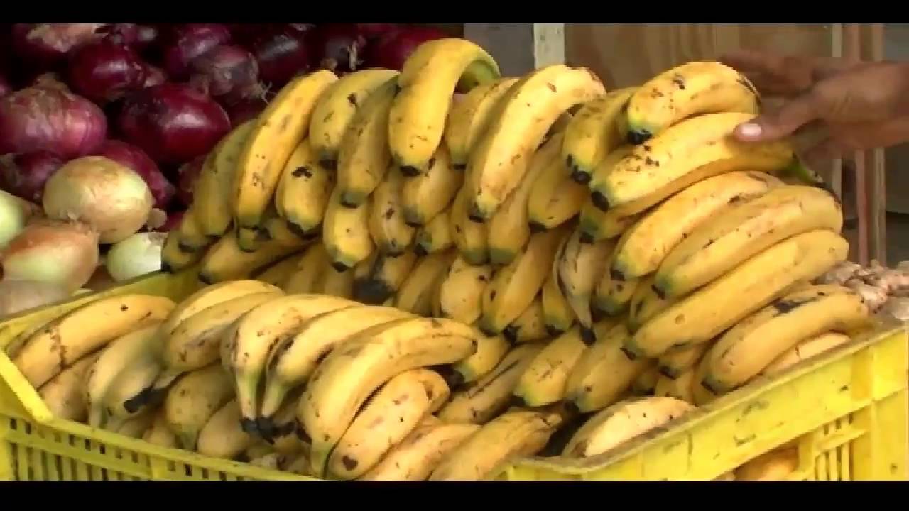 bredda 'DAVID' OBI Belizean Products - YouTube