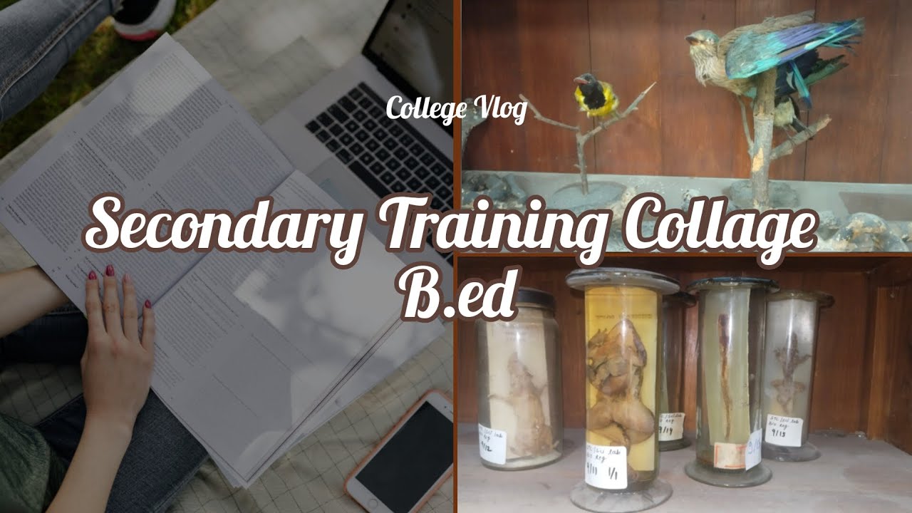 Secondary Training Collage || Mumbai || B.ed College || Science Lab ...