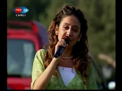 Hülya Mutlu - Yollar Uzak Gelemedin