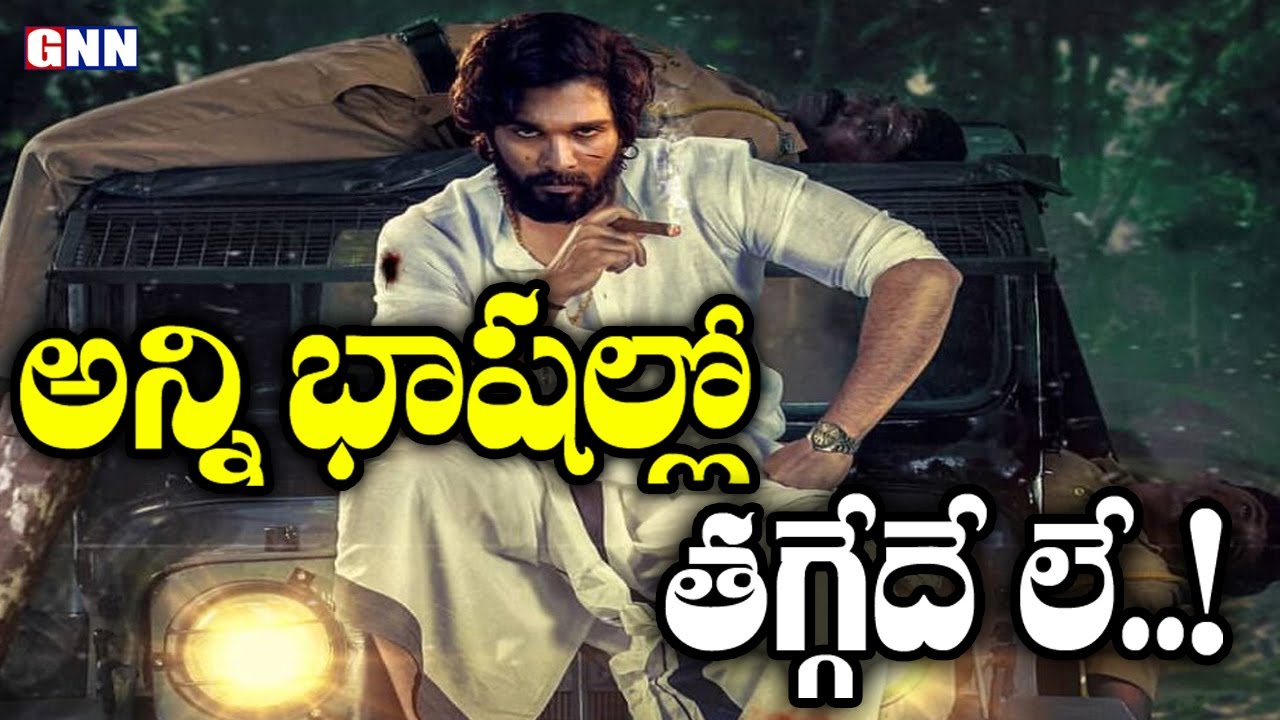 Allu Arjun Mass Dialogue from Pushpa Movie | Interesting Facts Of ...