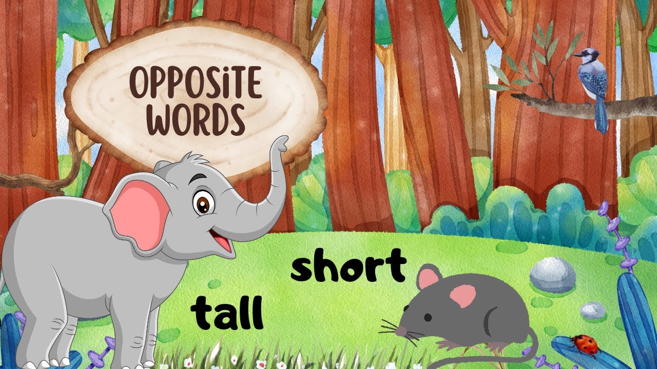 Opposite Words for Class 1-5 | Fun English Learning for Kids - YouTube
