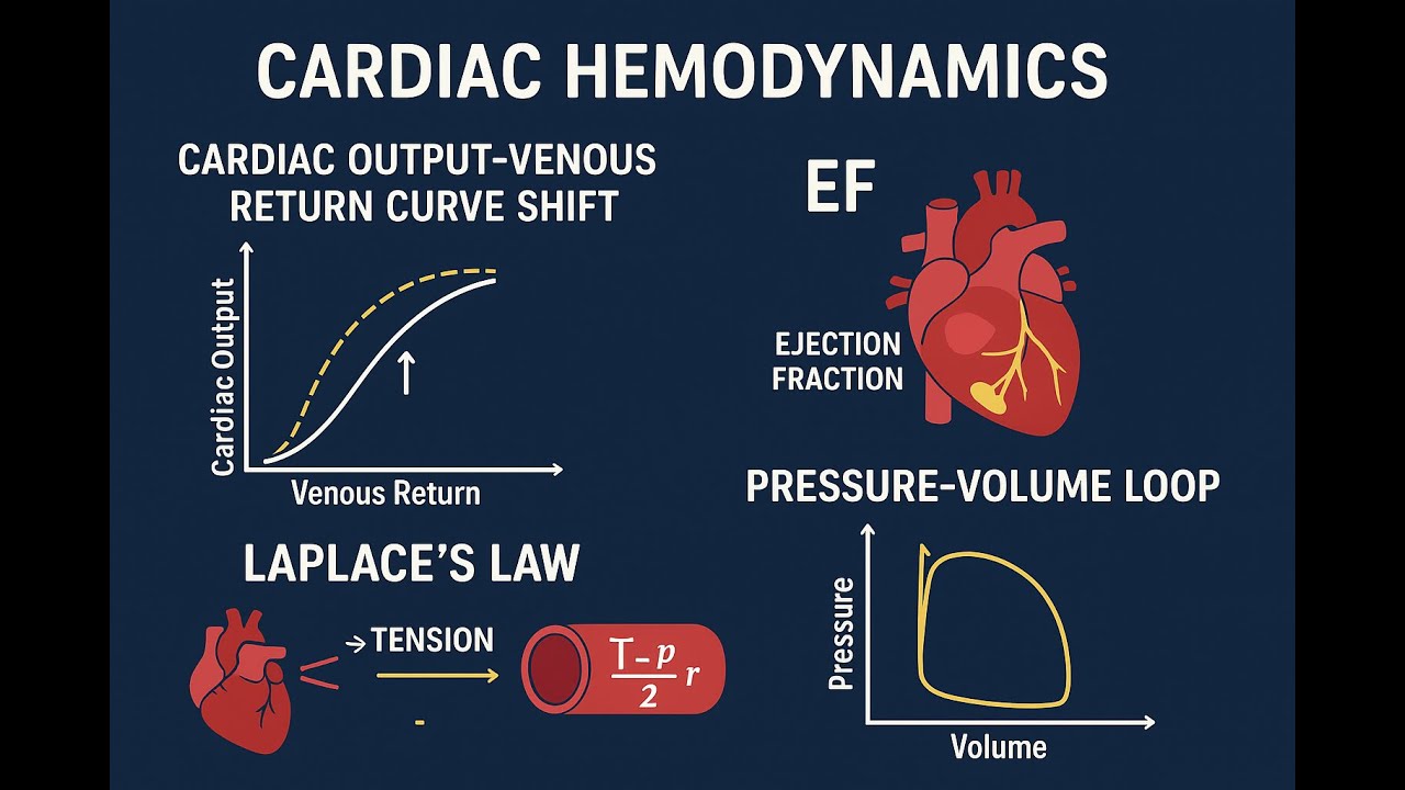 CARDIAC HEMODYNAMICS Part 2 // CO curve, Laplace's law and cardiac loop ...