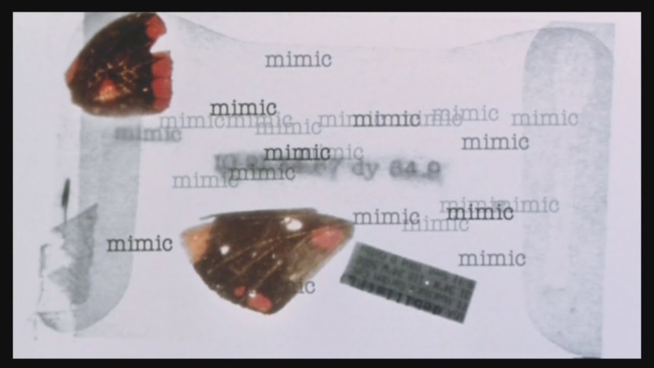Mimic (1997) Intro Scene (HD) - YouTube