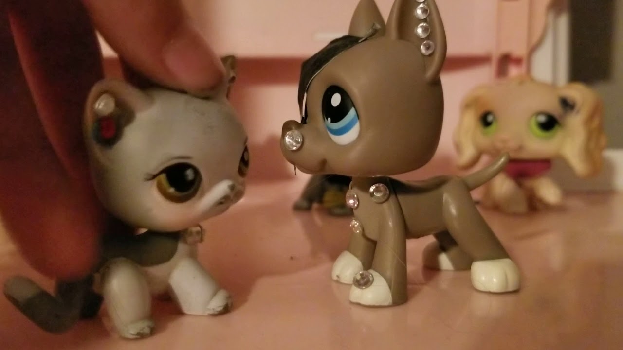 Lps: lost echo ( episode 2 ) we are married) season 2 - YouTube