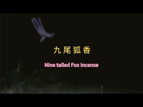 九尾狐香Nine tailed Fox Incense #招魂实录 #招魂 #灵异 #soul #ghost #精灵 #鬼 #恐怖rpg ...