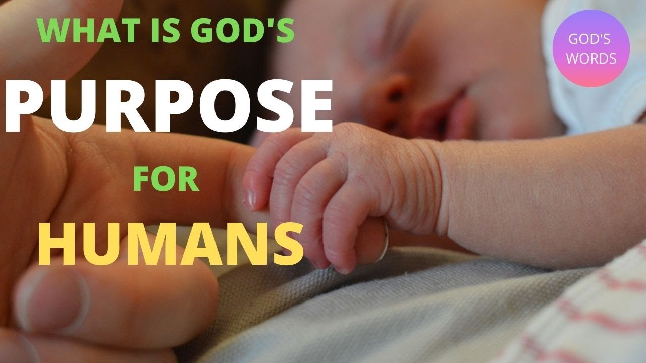What Is God's Purpose For Humans / BIBLE VERSE / GOD'S WORDS - YouTube