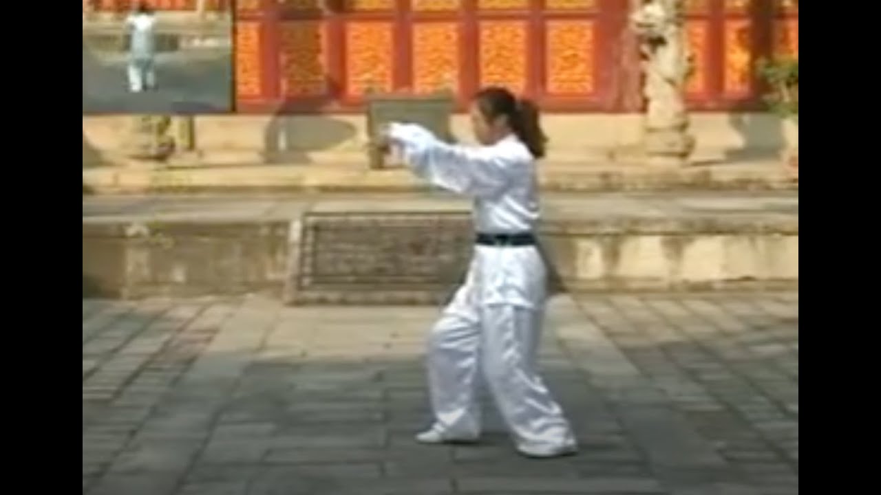 White Crane Kung Fu Forms