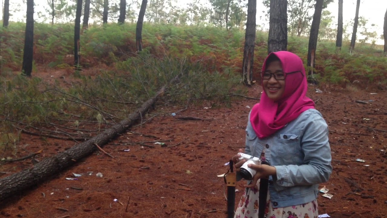 LEMBAH NAPU, SULAWESI TENGAH - YouTube