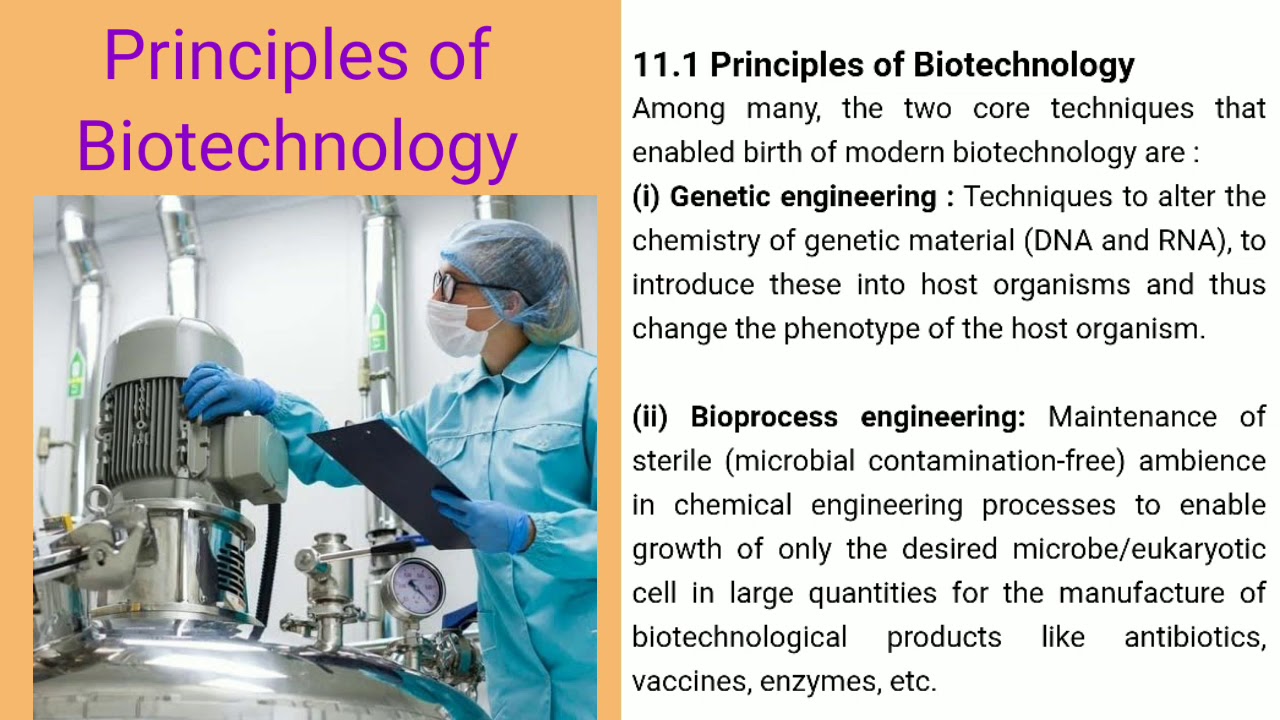 Lesson 1 Biotechnology- Principles and Processes - YouTube