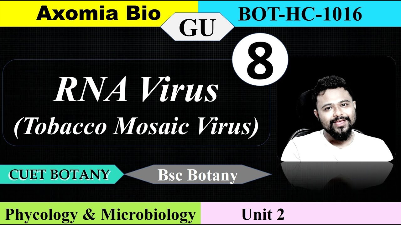 RNA Virus| TMV| Structure| replication| Phycology and microbiology| Bsc ...