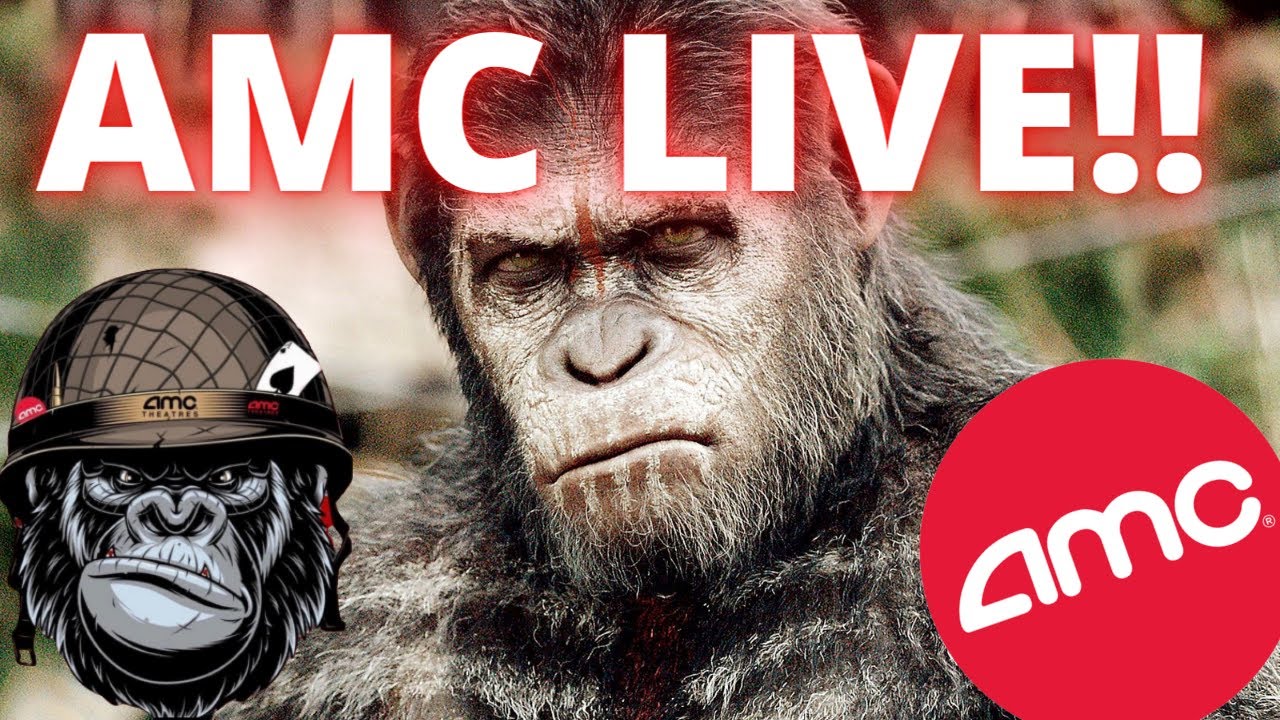 AMC LIVE! Hedge Funds vs Hedge Funds! - YouTube