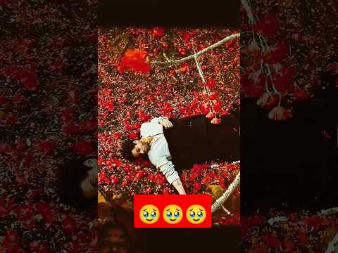 Devdas #bollywood #movie #Aishwarya Rai#Shahrukh Khan