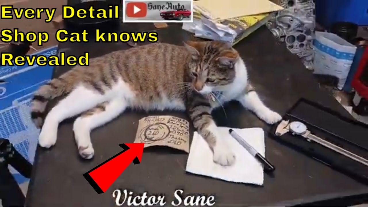 TH350 GM 350C Transmission SNAP RING low reverse return spring 44893 ...