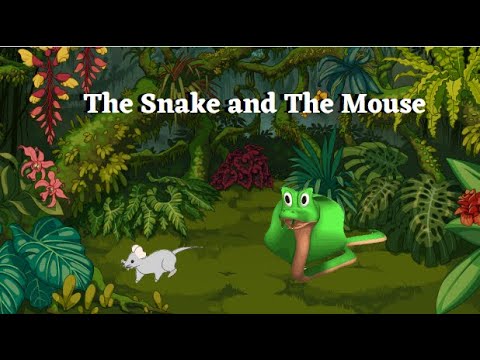 The Snake and The Mouse|| story for kids|| - YouTube