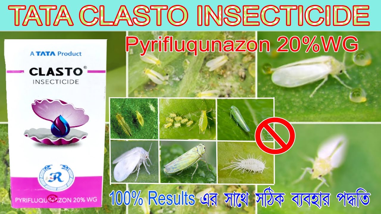 Tata Clasto Insecticide । New Insecticide । Pyrifluquinazon 20% WG ...