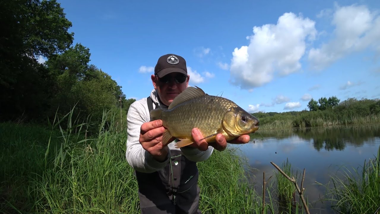 Karosai su pludine 2 - YouTube