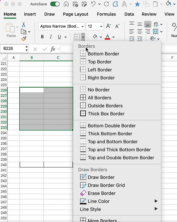 How to Create BORDERS in Excel #excel #exceltips #exceltutorial - YouTube