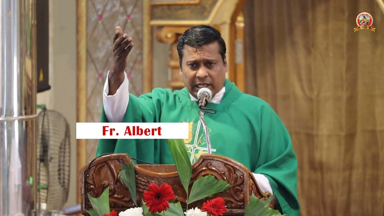 மறையுரை | Fr. Albert. - YouTube