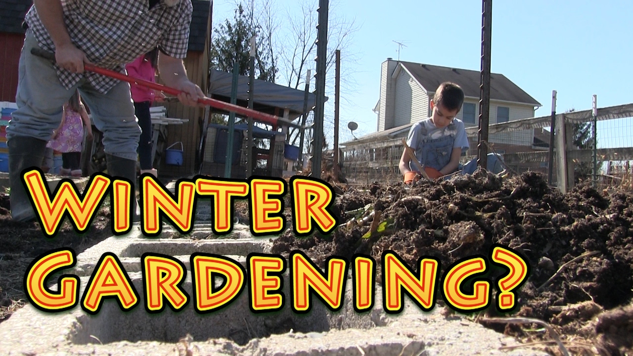 Winter Gardening at the Big Family Homestead - YouTube