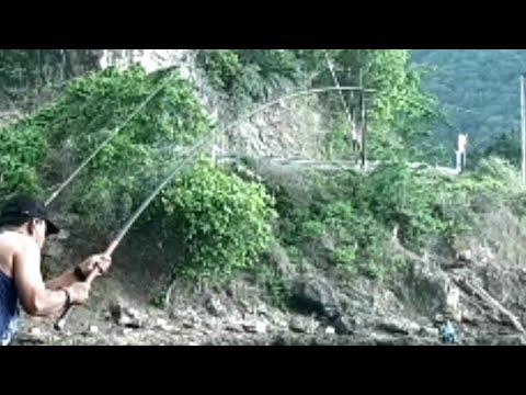 sambaran ikan ruma ruma pas cuaca hujan#mancing#mancingpinggiran - YouTube