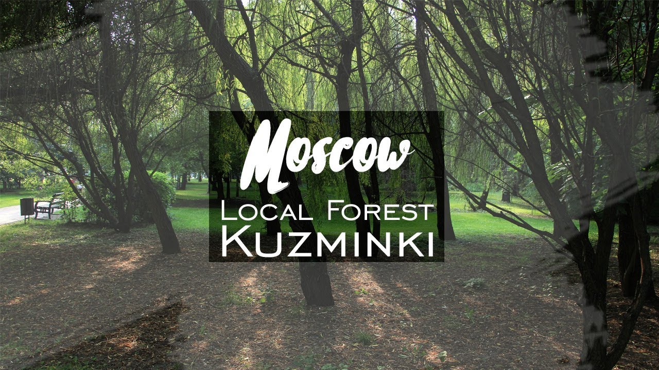 Where to go in Moscow. Local place. Forest Kuzminki | 2017 - YouTube