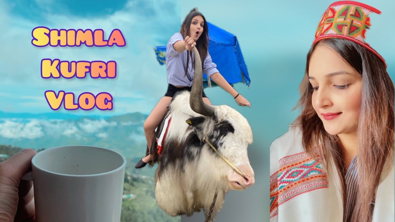 Shimla Kufri Vlog | Yak Ride | Mall Road | Himanchal Pradesh - YouTube