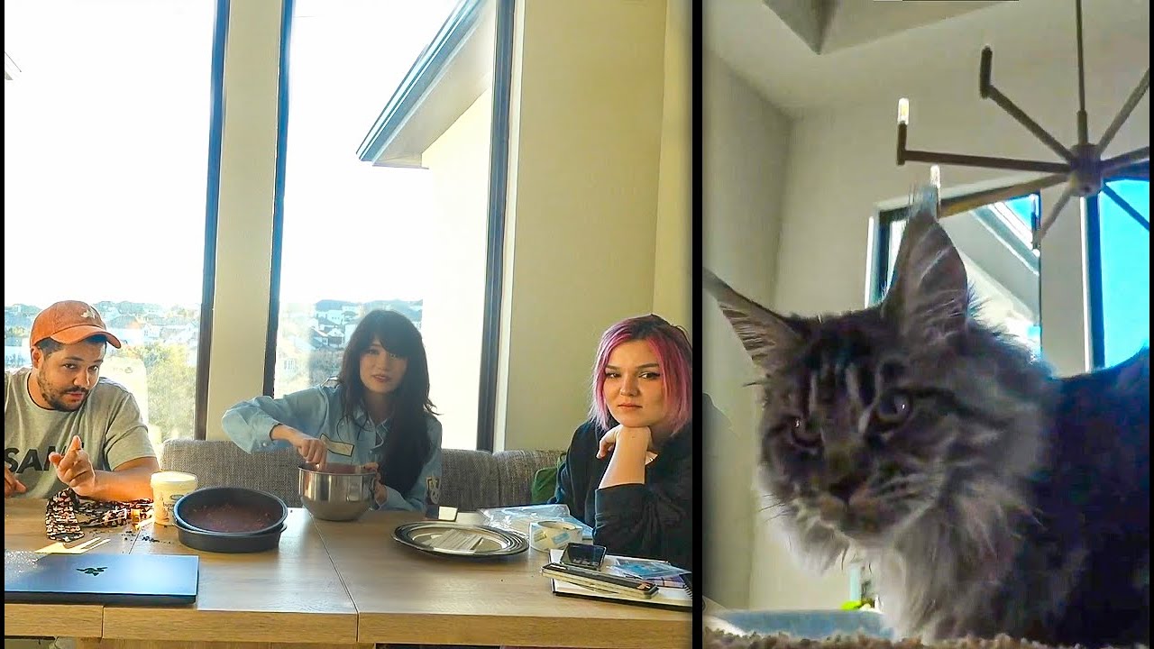 Mizkif's Cat Breaks Emiru's Camera - YouTube